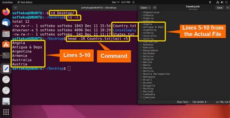 The Tail Command In Linux Practical Examples Linuxsimply
