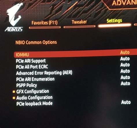 Are There New Or Importent BIOS Options On AM5 Virtualization