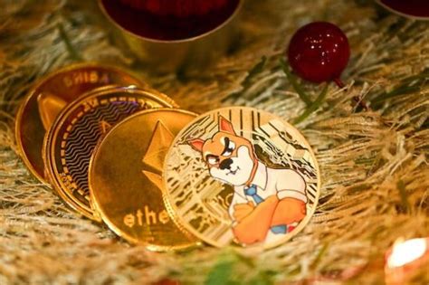 Shiba Inu Coin Guía Completa Sobre El Token Shib 2024