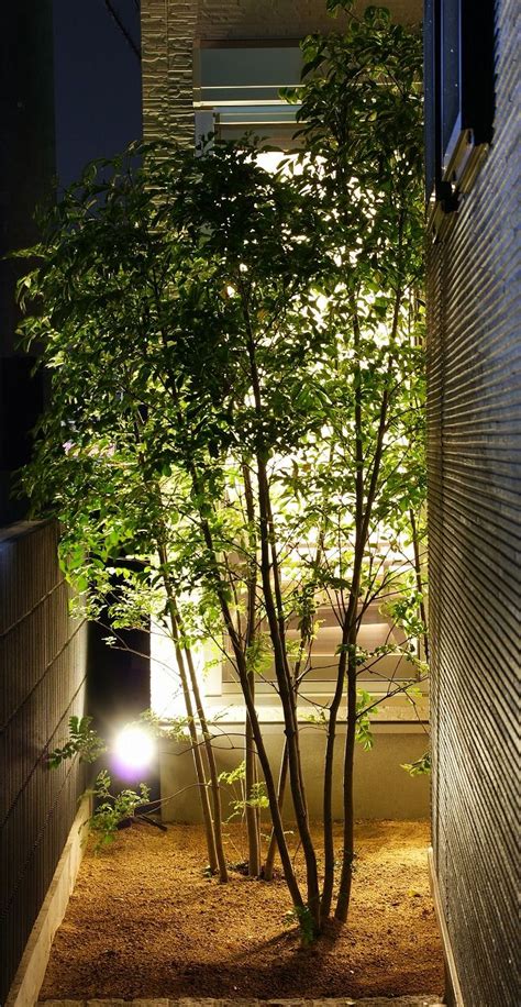 中庭＃外構＃夜景＃植栽＃リビングから見える植栽＃植物のある暮らし＃外観＃サイディング＃ライトアップ＃工務店＃純工房＃中庭のある暮らし