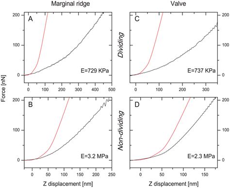 Measuring The Stiffness Of The Cell Using Indentation Type
