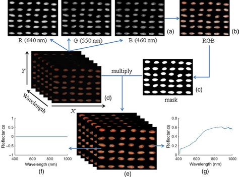 Main Procedure Of Image Segmentation And Spectral Data Extraction A