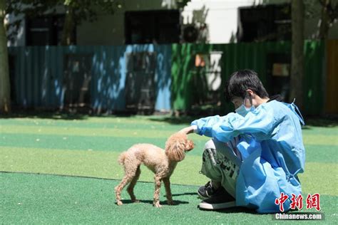 飼い主が隔離されたペットを「ペットホテル」でお世話 北京 人民網日本語版 人民日報