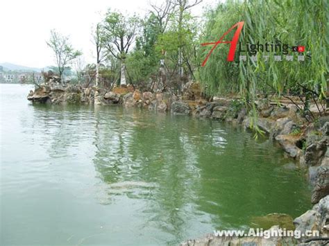 松木桩驳岸 木桩驳岸 原木桩驳岸 大山谷图库
