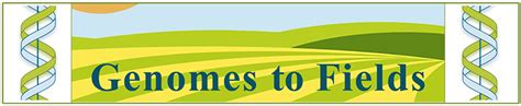 genomes to fields initiative cornbreeding