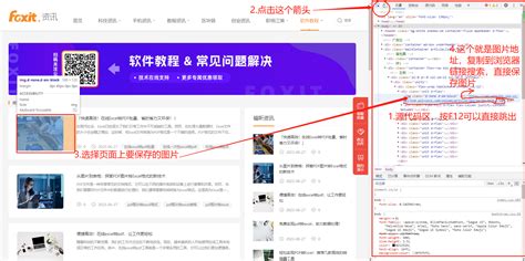 如何提取网页中的图片怎么批量抓取网页上的图片福昕pdf阅读器