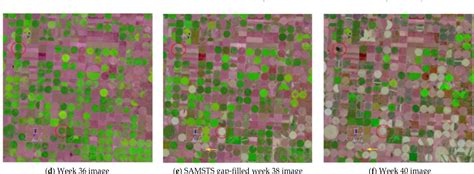 Figure 1 From Large Area Gap Filling Of Landsat Reflectance Time Series By Spectral Angle Mapper
