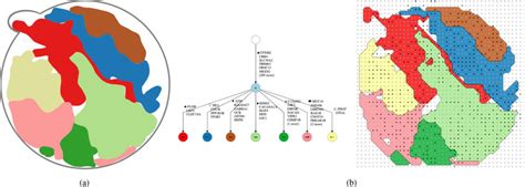 clonarch automates the process of visualizing the spatial clonal