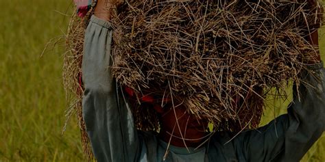 New Ifad And Gafsp Funded Project To Scale Up Successful Approaches To Increasing Food And