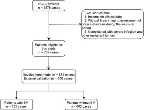 Flowchart Of Small Cell Lung Cancer Sclc Patient Selection