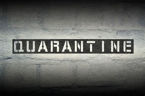 Premium Photo Quarantine Word Gr