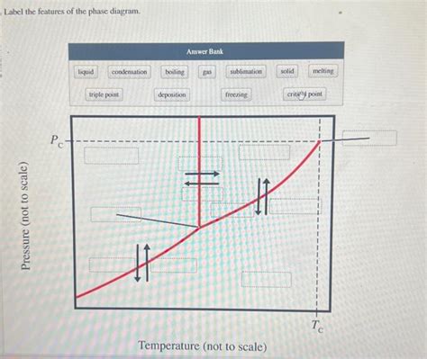 Solved Label The Features Of The Phase Diagram Temperature Chegg