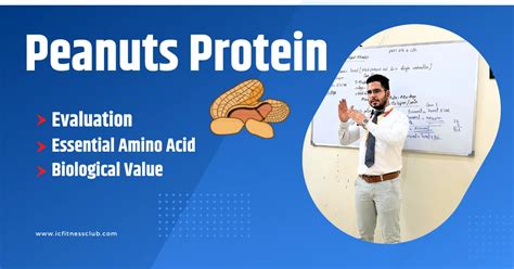 Evaluating The Protein Quality Of Peanuts Methionine And Biological Value