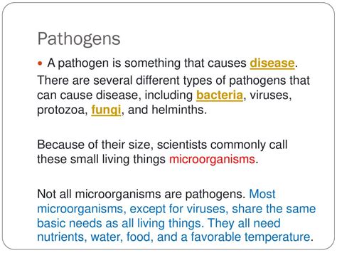 Warm Up 31017 Why Are Bacteria Considered Extremophiles Ppt Download