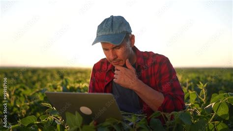 Farmer Working On His Laptop Lifestyle With Soybeans Agronomist