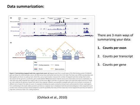 PPT RNA Seq The Future Of Transcriptomics PowerPoint Presentation ID
