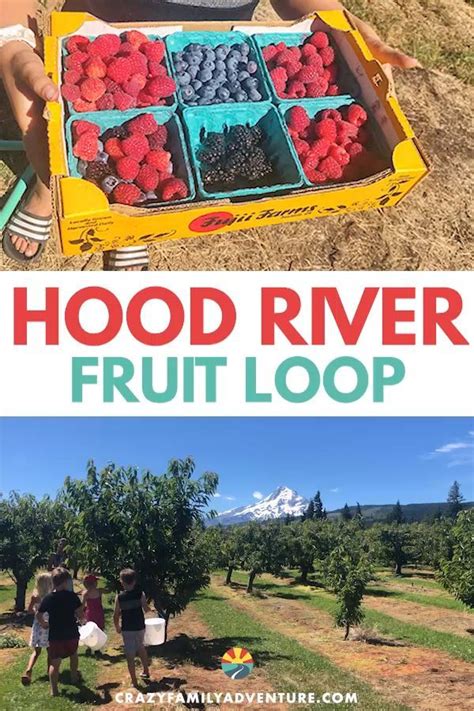10 Amazing Stops On The Hood River Fruit Loop Map Included Oregon