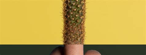 Give Torture The Green Finger Plant Care Instructions Freedom From