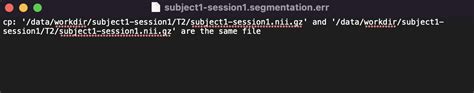 segmentation error · issue 19 · biomedia dhcp structural pipeline · github