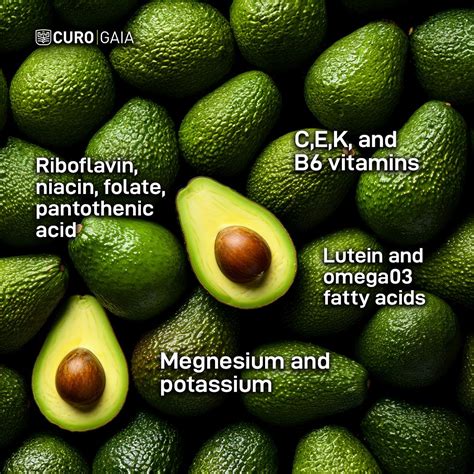 Avocados A Nutrient Boost For Health Curo Gaia Posted On The Topic