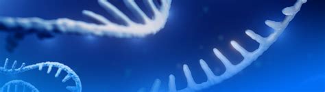 现货mrna 报告基因基因编辑 免疫抗原类现货mrna 金斯瑞