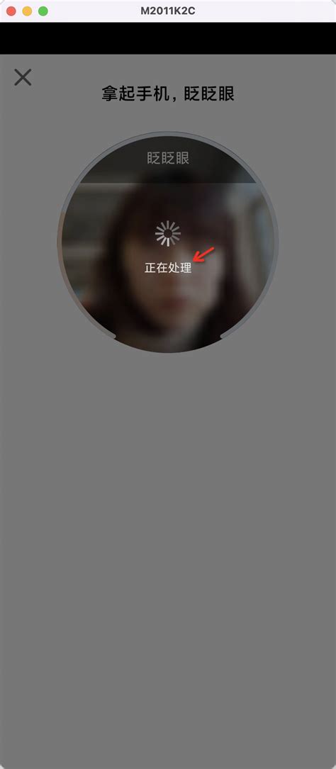 自定义android Sdk引导页和活体认证页ui颜色、文案和icon图标 实人认证 Id Verification 阿里云帮助中心