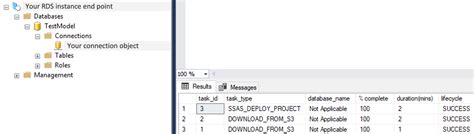 Configuring Microsoft Sql Server Analysis Services On Amazon Rds For