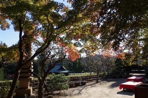 円覚寺龍隠庵から妙香池へ 2013 11 22北道倶楽部