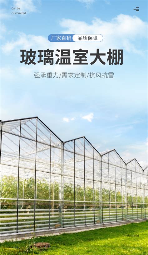 玻璃温室大棚厂家 智能连栋连体玻璃温室大棚设计 农业蔬菜大棚 阿里巴巴