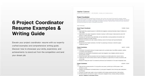 6 Project Coordinator Resume Examples And Writing Guide