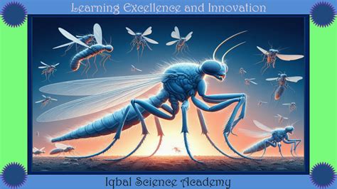 Insecticides