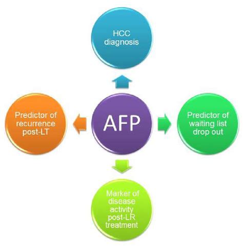 Figure 1 From Alpha Fetoprotein As A Predictor Of Hepatocellular Carcinoma Recurrence Following