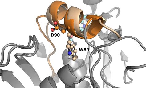 Alphafold 3d Model Structure Of Wp0757434871 Highlighting The