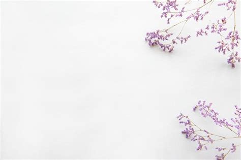 白い背景の上のドライフラワー プレミアム写真 ドライフラワー バラ 花びら ルピナスの花