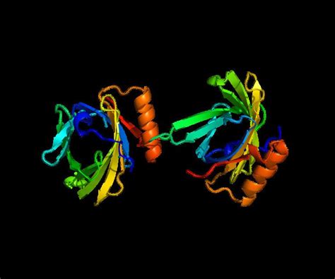 Prostaglandin D Synthase Alchetron The Free Social Encyclopedia