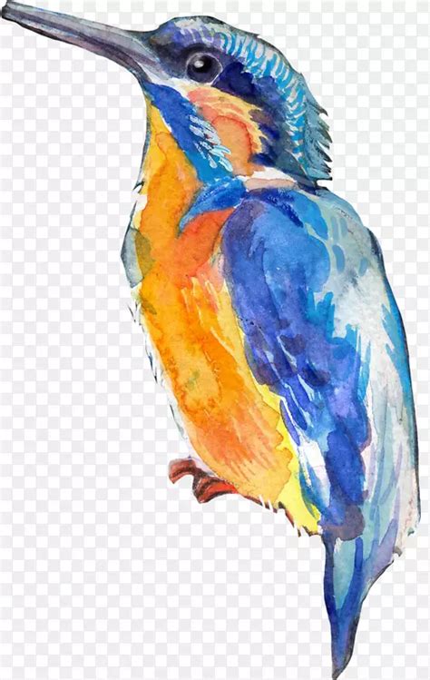 Png Png