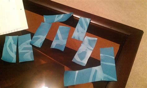 Capturing Translucent Shadows With Cyanotype 8 Steps Instructables