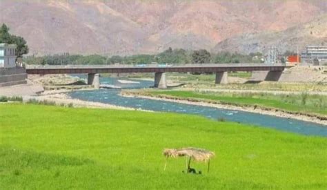 شجاع الدین فاروقی