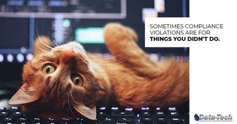 Data Tech Specialized In Managed It Security On Linkedin Compliance Techcompliance