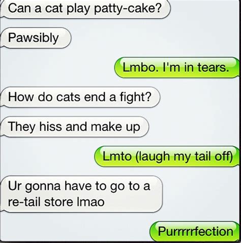 17 Truths Only Couples With A Cat Understand