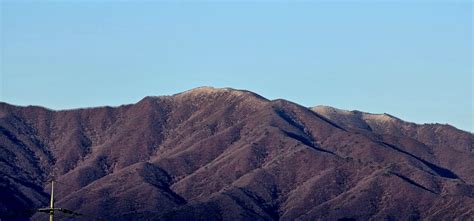 간밤에 눈이 내린 황악산 정상1111m이 가깝게 보이는 김천 직지천 아침 풍경입니다 20231117 0700 0 꽃사랑 꽃을 사랑하는
