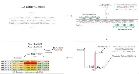 Figure 1 From Development Of A High Resolution Mass Spectrometry Based