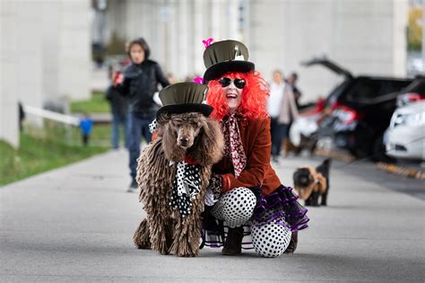 Things To Do This Weekend In Toronto October 25 To 27