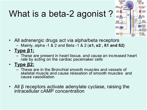 Antiasthmatics Drdhriti