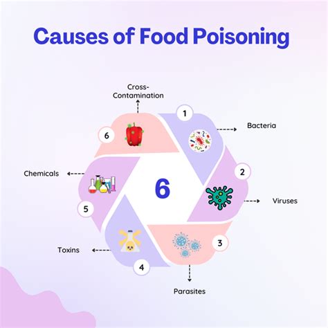 Food Poisoning Vs Stomach Bug Learn The Difference Gastro Doc