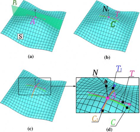 Surface Curvature Of Surface S At Point P Download Scientific Diagram