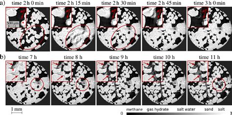 Figure 3 From Dynamic In Situ Imaging Of Methane Hydrate Formation And Self Preservation In
