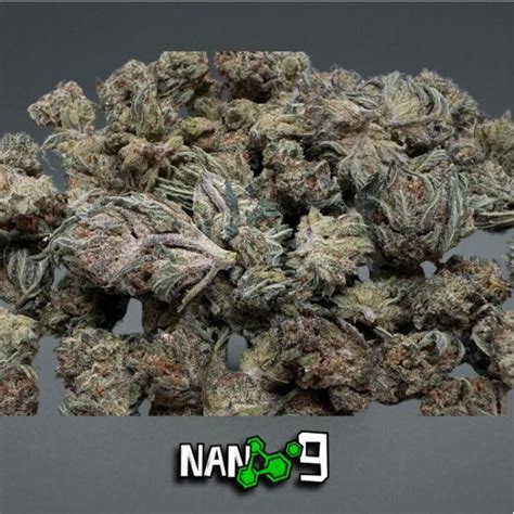 Cogollo De Flor Mini Mango Haze X Nano9 Al 60 Innovation CBD