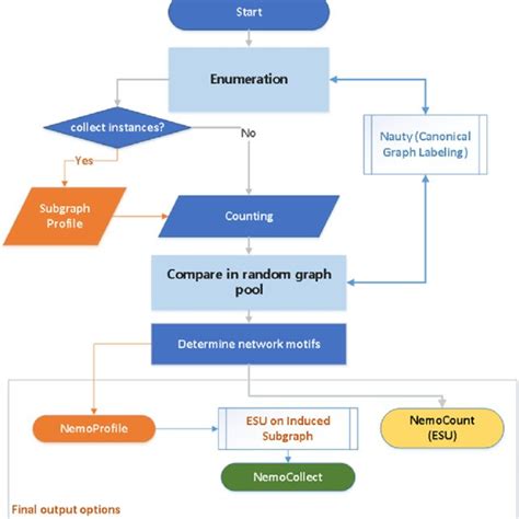 Flow Chart Of A Network Motif Finding Program Producing Nemoprofile