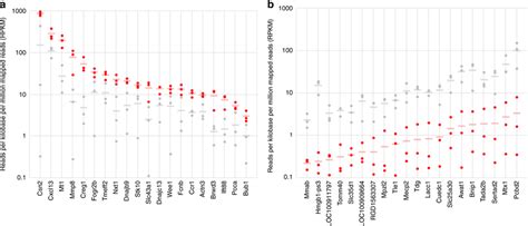 protein coding transcript quantification protein coding transcripts